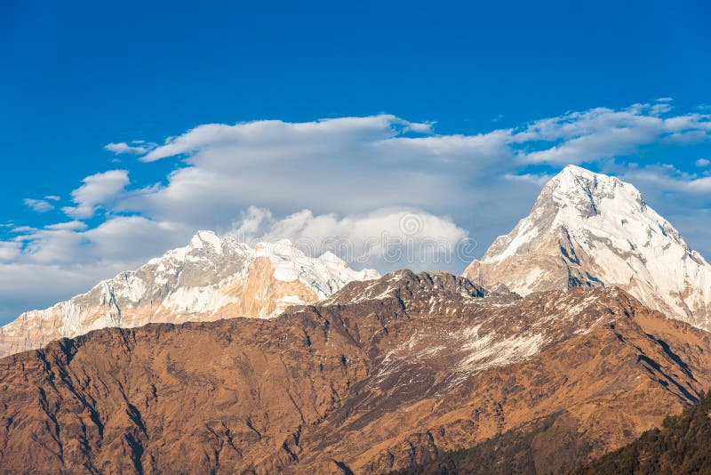 Himalaya arkivfoto. Bild av huggtand, berg, liggande - 49326886