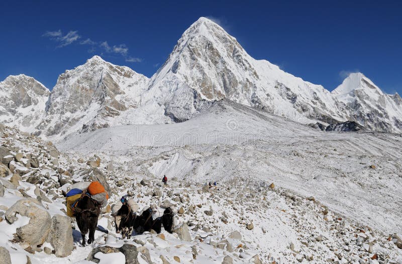 Himalaya Trekking 5 stock image. Image of tourism, himalaya - 17292757