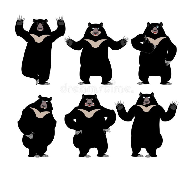 Bear Posture Stock Illustrations – 565 Bear Posture Stock Illustrations ...