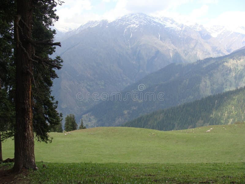 Himalayan Beauty stock image. Image of travel, india - 46702915