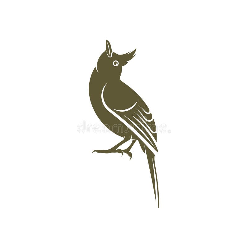 Bulbul Bird Stock Illustrations – 172 Bulbul Bird Stock Illustrations ...