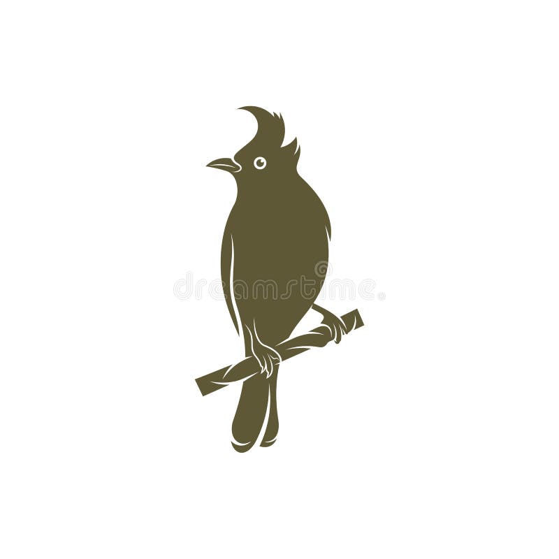 Bulbul Bird Stock Illustrations – 172 Bulbul Bird Stock Illustrations ...