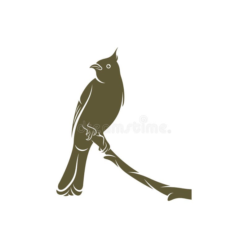 Bulbul Logo Stock Illustrations – 49 Bulbul Logo Stock Illustrations ...