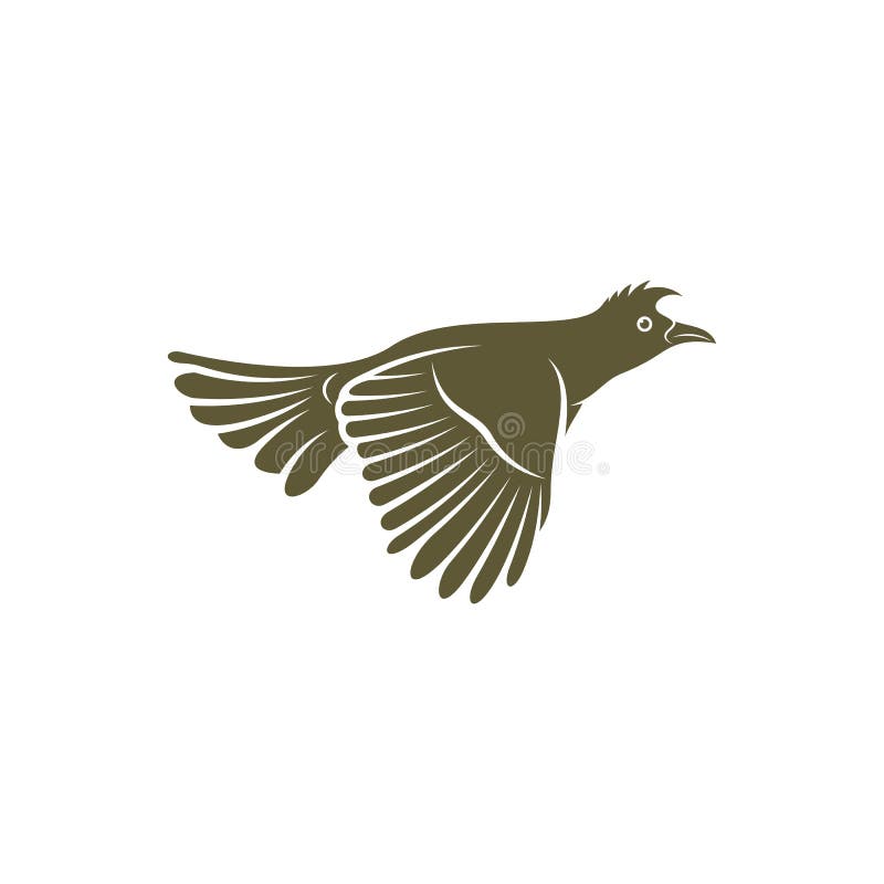 Himalayan Bulbul Bird Design Vector Illustration, Creative Himalayan ...