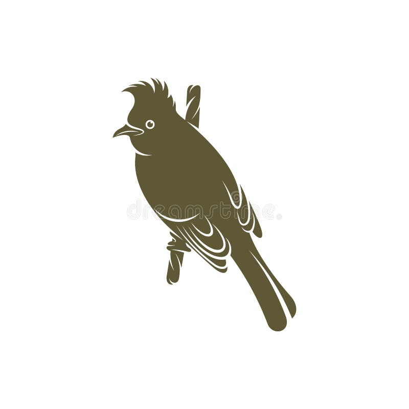 Bulbul Logo Stock Illustrations – 49 Bulbul Logo Stock Illustrations ...