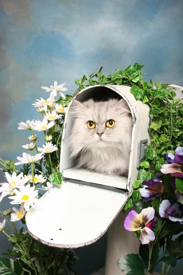 978 Mailbox Flowers Stock Photos - Free & Royalty-Free Stock Photos ...