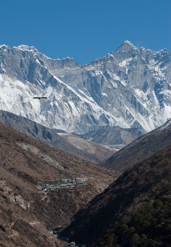 Himalayan Eagle Over a Valley Stock Image - Image of prayer, glacial ...