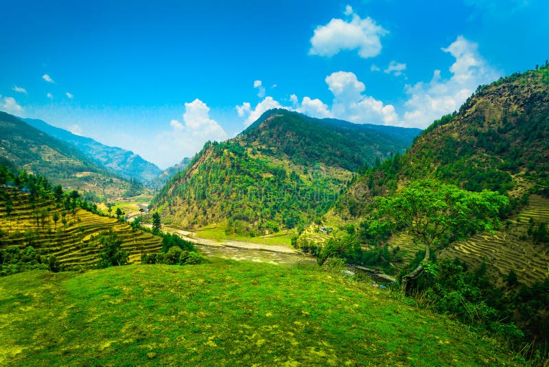 450 Himalayan Rice Field Stock Photos - Free & Royalty-Free Stock ...