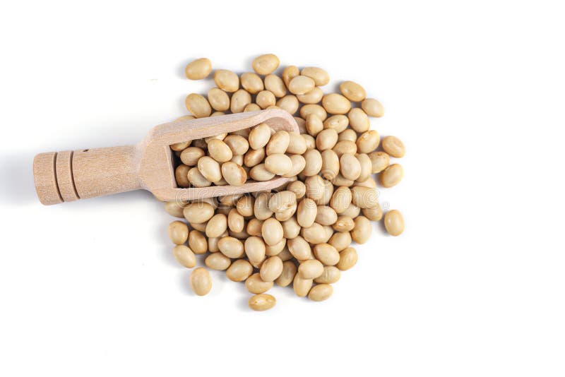 Himalayan Navy Beans Pearl Haricot Beans White Rajma Haricot Beans