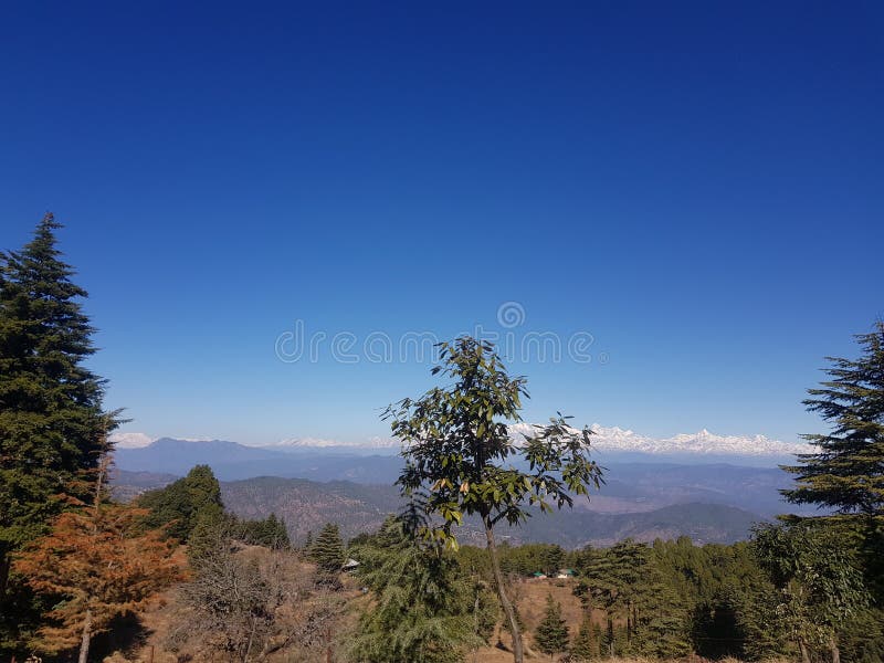 Himalayan peeks tree stock photo. Image of rock, plateau - 192556992