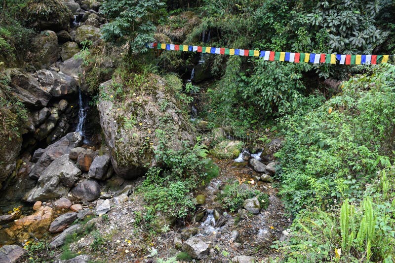 Himalayan Stream with Colored Prayer Flag and Greenery Stock Photo ...