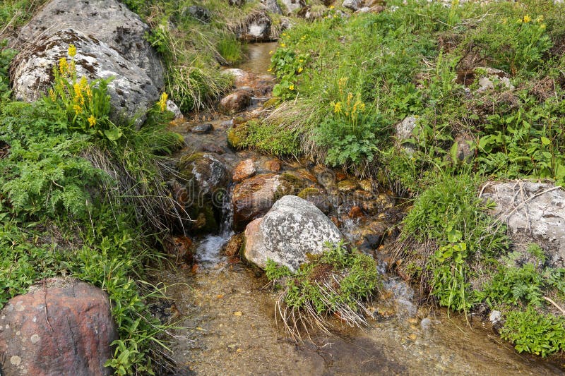 Himalayan Streams Major Source of Drinking Water. Stock Photo - Image ...