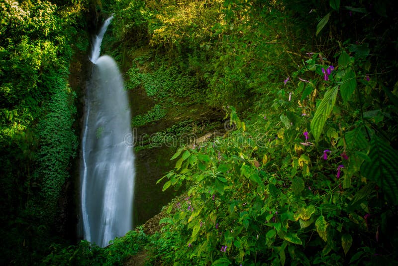 Himalayan waterfall stock photo. Image of cliff, rickety - 94345006