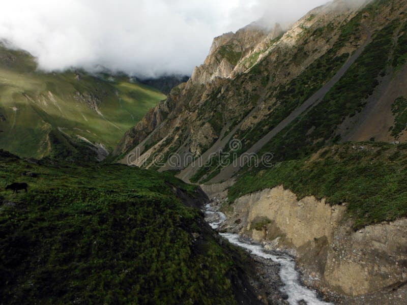 Himalayanvallei Met Rivier Tijdens Moesson Stock Afbeelding - Image of ...