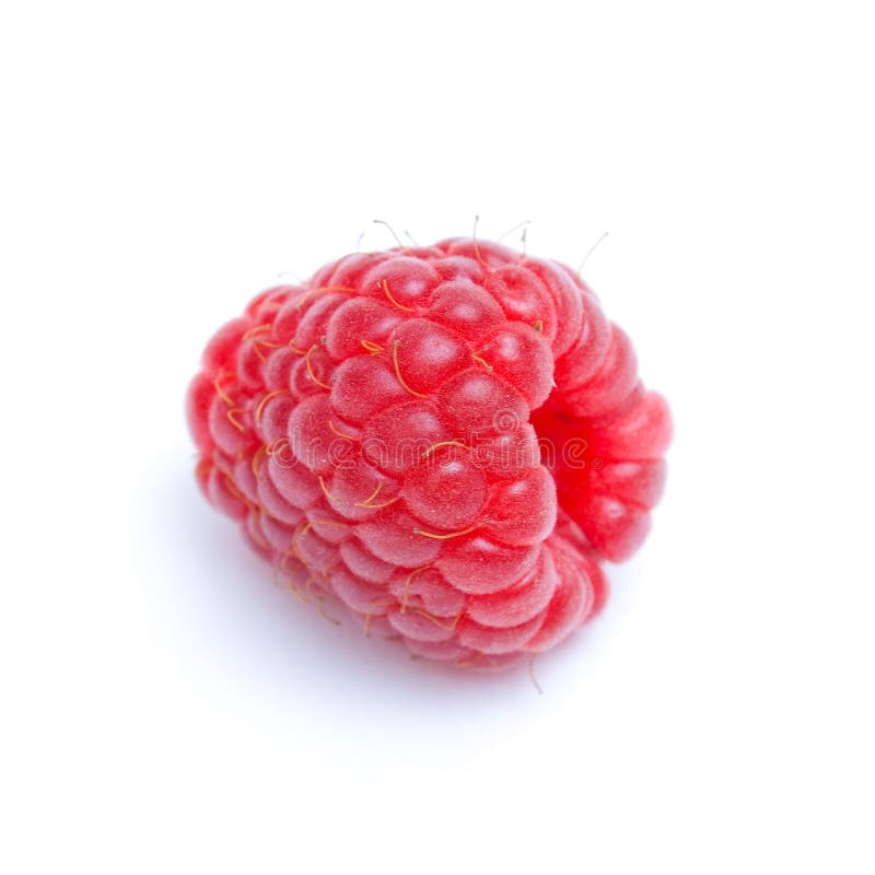 Frische Süße Blaue Himbeeren Auf Weiß Stockbild - Bild von betrieb ...