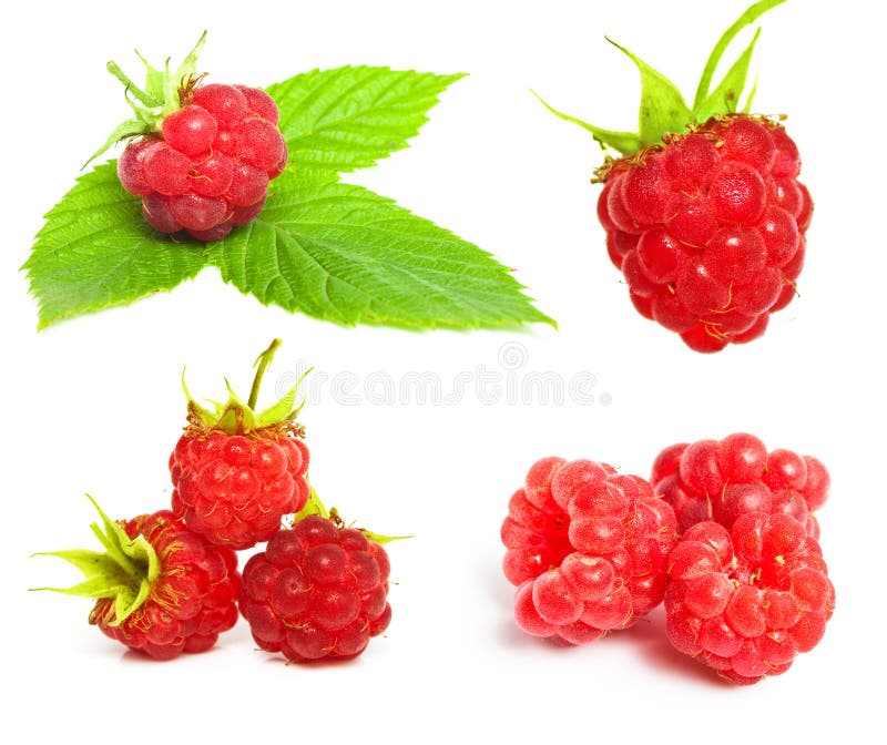 Sammlung Der Himbeere Lokalisiert Auf Weißem Hintergrund Stockfoto ...