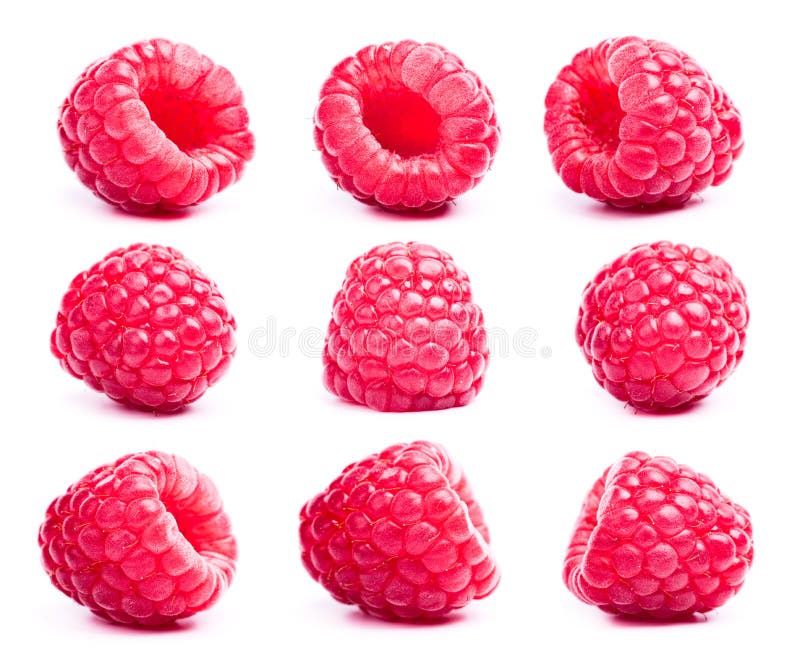 Himbeeren stockfoto. Bild von frucht, getrennt, eßbar - 4207958