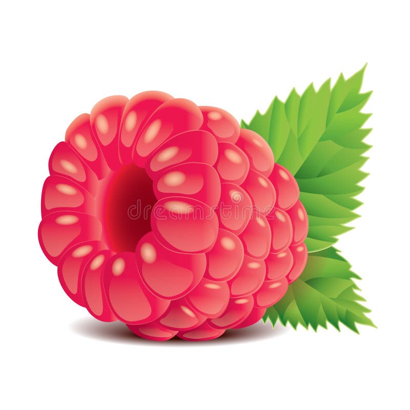 Himbeere Stock Illustrationen, Vektoren, & Kliparts - 46,296 Stock ...