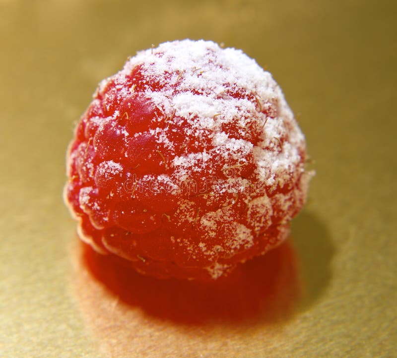 Himbeere einzeln stockbild. Bild von muster, gemasert - 29015121