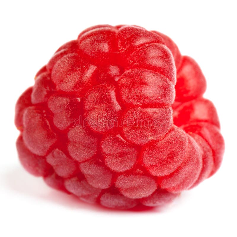 Einzelne Himbeere stockbild. Bild von getrennt, erdbeere - 6536833