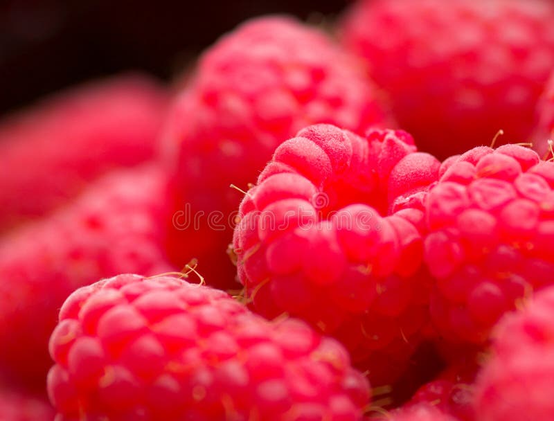Himbeeren stockbild. Bild von weich, himbeeren, bestandteil - 2734933