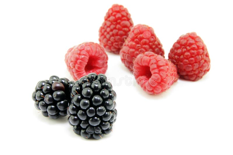 Himbeeren und Brombeere stockfoto. Bild von gesamtheit - 27819698