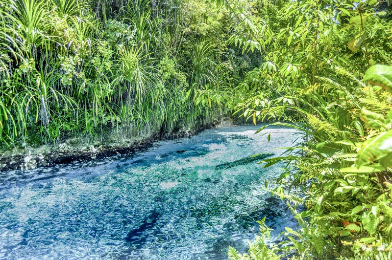 Enchanted River in Hinatuan, Surigao Del Sur, Philippines. 360-Degree ...