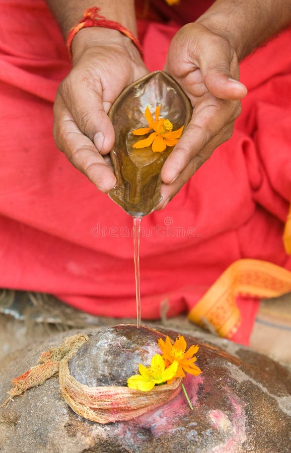 Hindu Devotee praying stock photo. Image of hindu, religious - 5860836