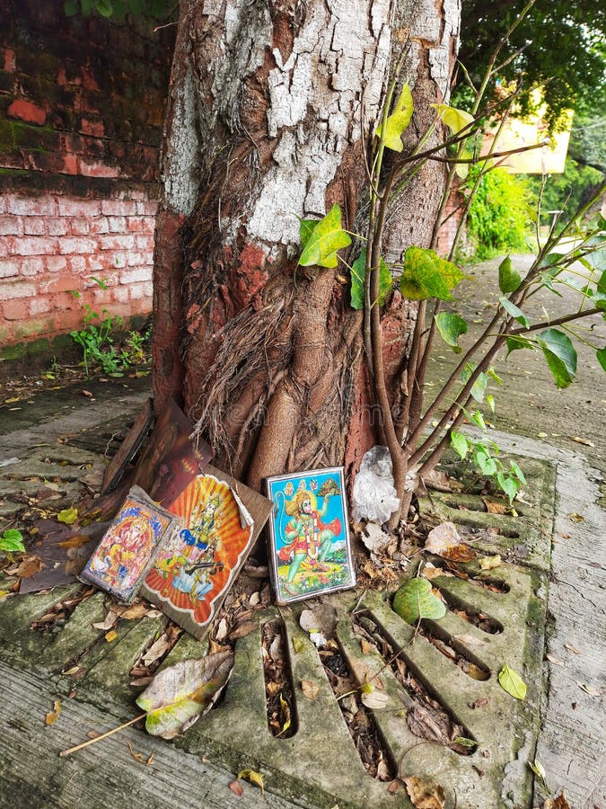 The Hindu Gods Frame Behind the Tree on a Street. Stock Image - Image ...