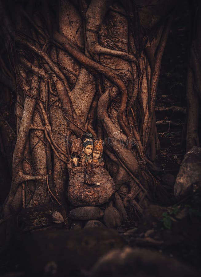 Hindu Statues Covered with Trees. Stock Photo - Image of architecture ...