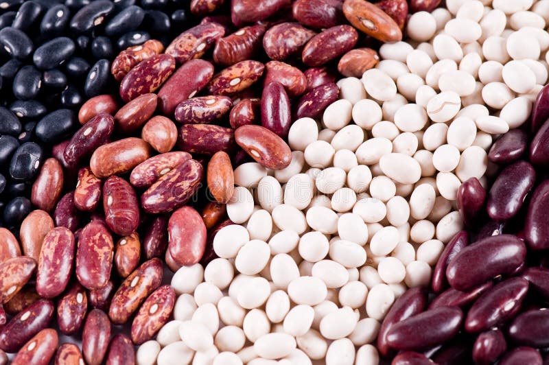 Hintergrund Der Gartenbohnen Stockbild - Bild von nahaufnahme ...