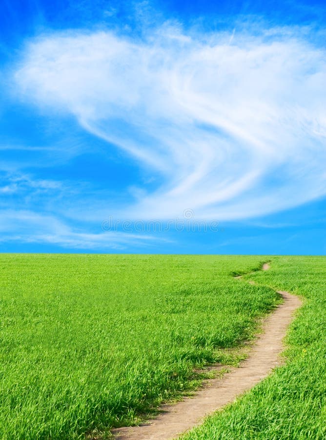 Hintergrund - Ein Kraut, Der Himmel, Weg, Vertikal. Stockfoto - Bild ...