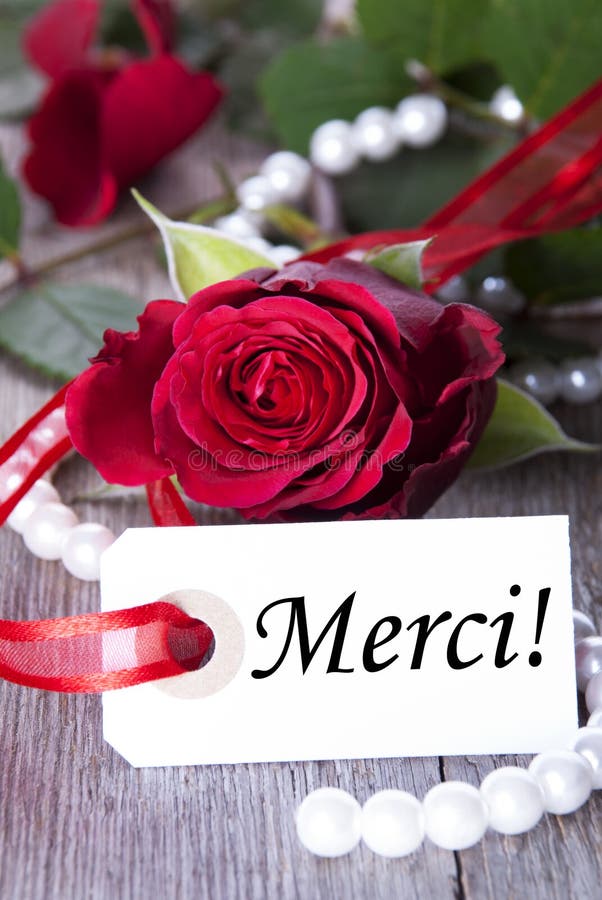 Hintergrund mit Merci stockbild. Bild von blumen, schön - 37205877