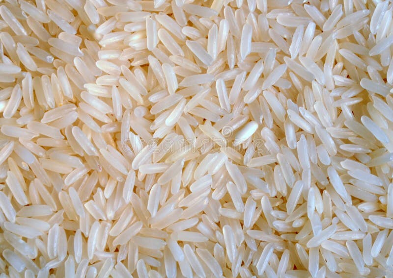 Hintergrund-Reis stockbild. Bild von nahrung, thailand - 18642255
