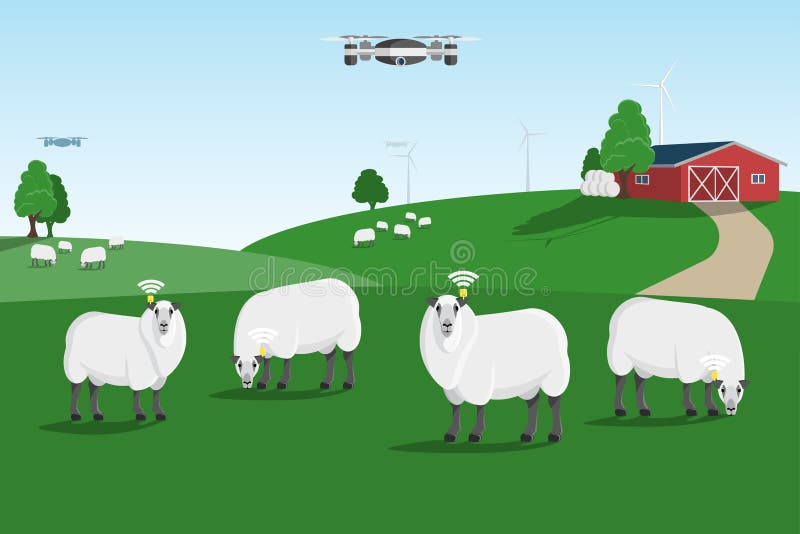 Sheep Tracking Monitoring in Smart Farm. Stock Vector - Illustration of ...