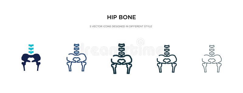 Hip Bone Icon in Different Style Vector Illustration. Two Colored and ...