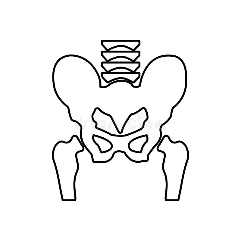 Hip Bone icon stock vector. Illustration of pelvis, logo - 311640604