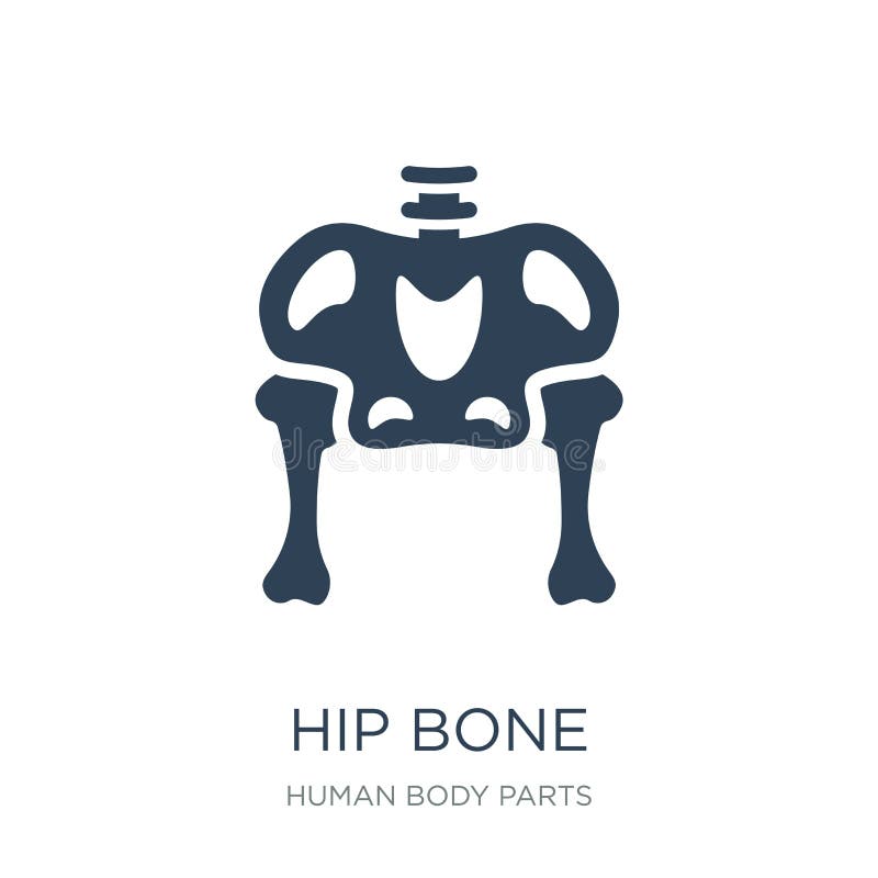 Hip Bone Icon in Trendy Design Style. Hip Bone Icon Isolated on White ...
