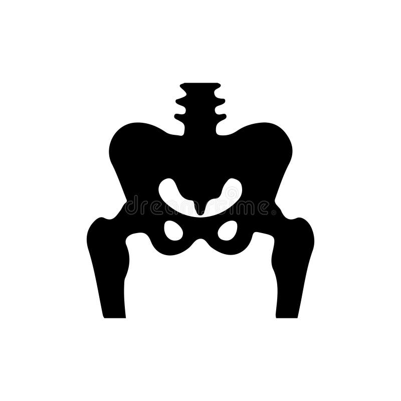 Hip Bone icon stock vector. Illustration of isolated - 311640566