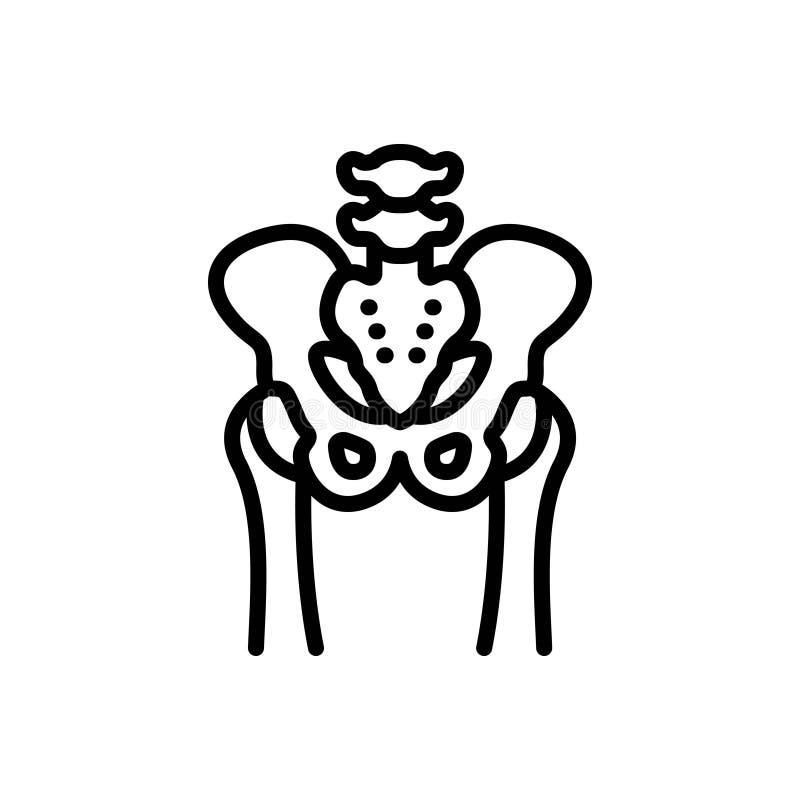 Black Line Icon for Hip, Pelvis and Skeleton Stock Vector ...