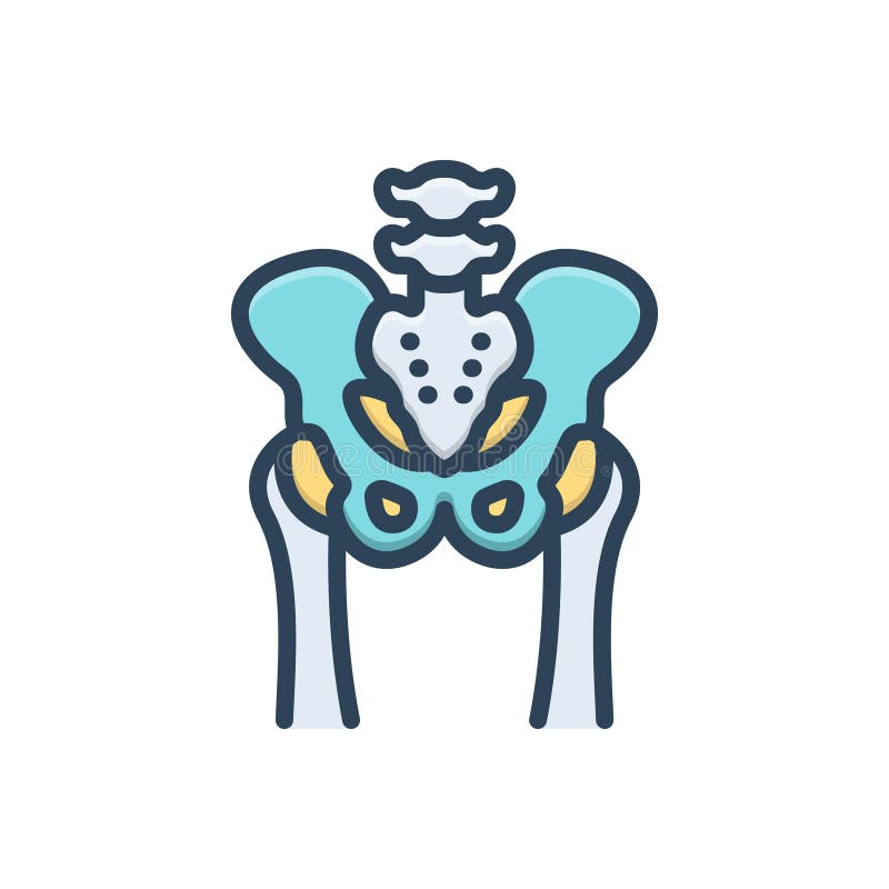 Pelvis Bone Logo Stock Illustrations – 855 Pelvis Bone Logo Stock ...