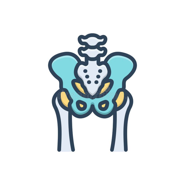 Color Illustration Icon for Hip, Pelvis and Skeleton Stock Vector ...