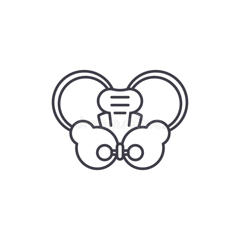 Hip Joint Icon Vector Stock Illustrations – 1,414 Hip Joint Icon Vector ...