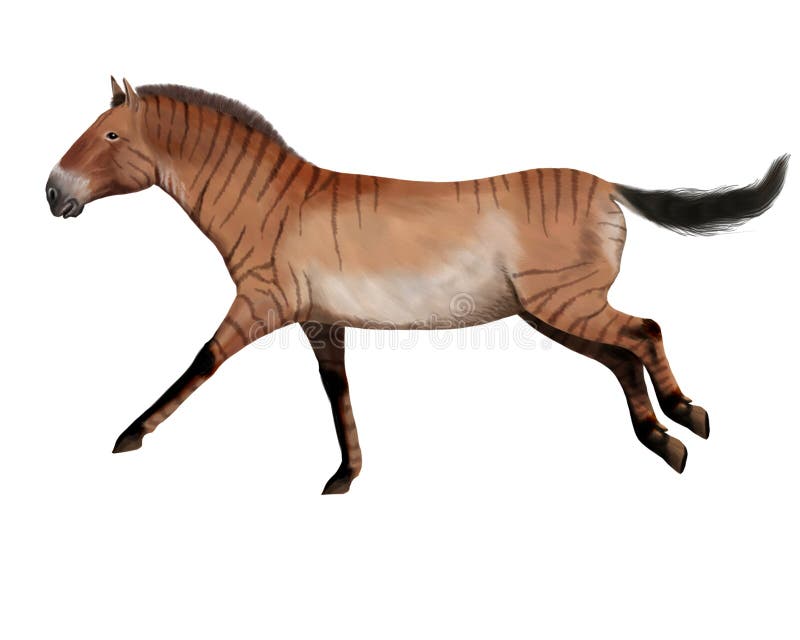 Hipparion, caballo antiguo stock de ilustración. Ilustración de familia ...