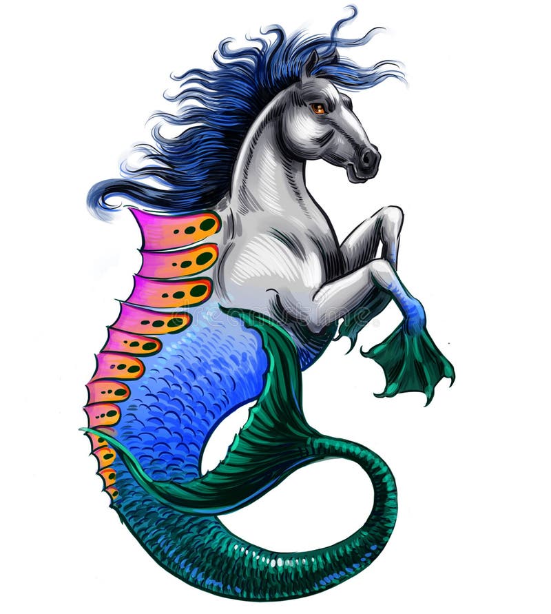 Hippocampus animal stock illustration. Illustration of mythology ...