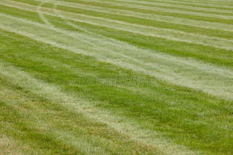 Hippodrome Green Grass Track Line. Fresh Natural Field Stock Photo ...