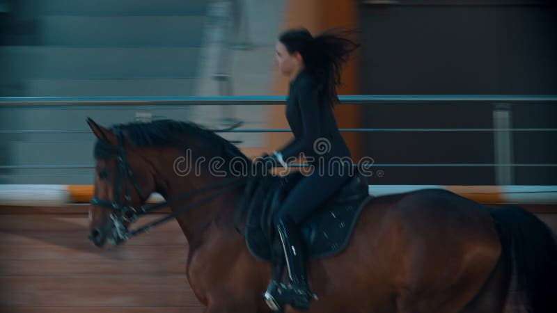 Hippodrome - a Rider Quickly Riding a Horse on the Hippodrome Stock ...