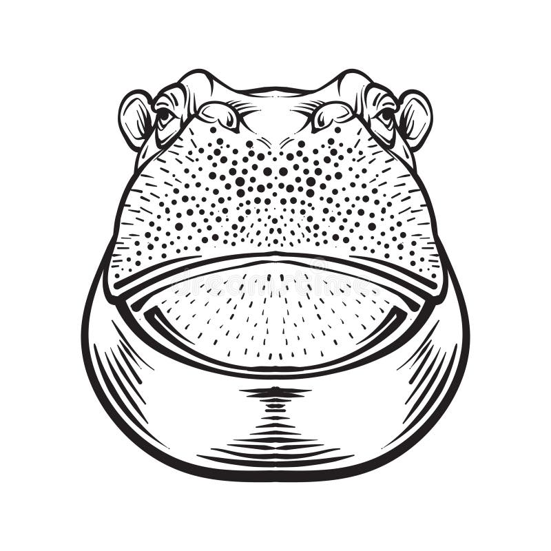 Hippopotamus Head Black and White Stock Vector - Illustration of face ...