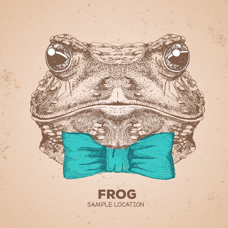Hipster Animal Frog. Hand Drawing Muzzle of Frog Stock Vector ...