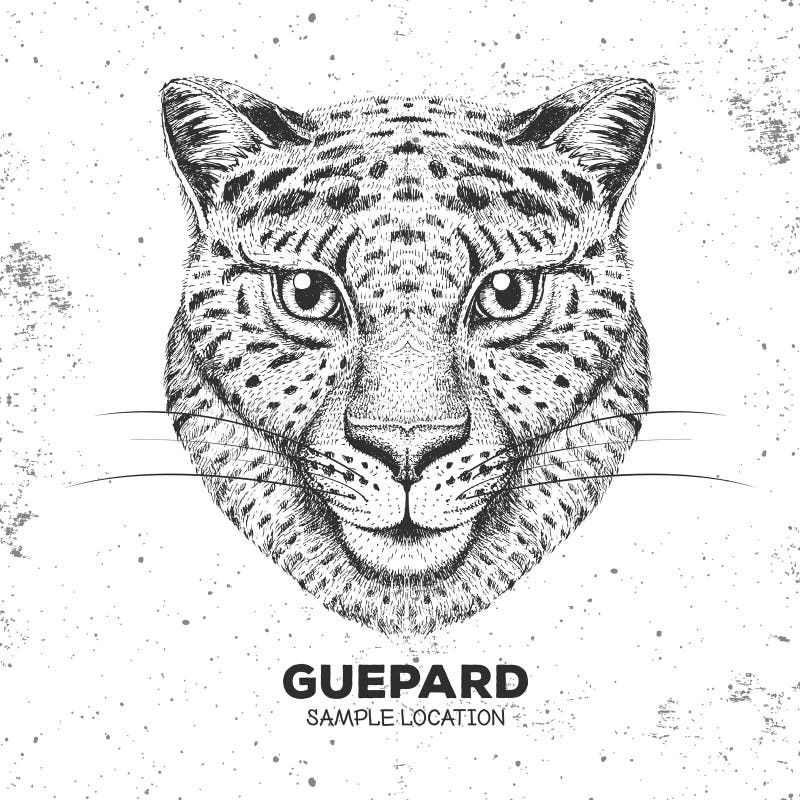 Hipster Animal Guepard. Hand Drawing Muzzle of Guepard Stock Vector ...